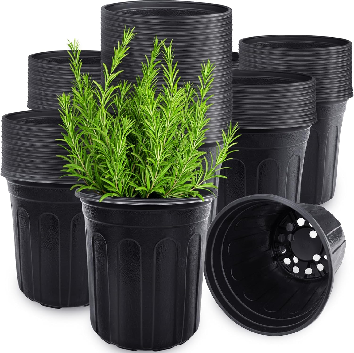 Pots – GardenGlorySpot.com
